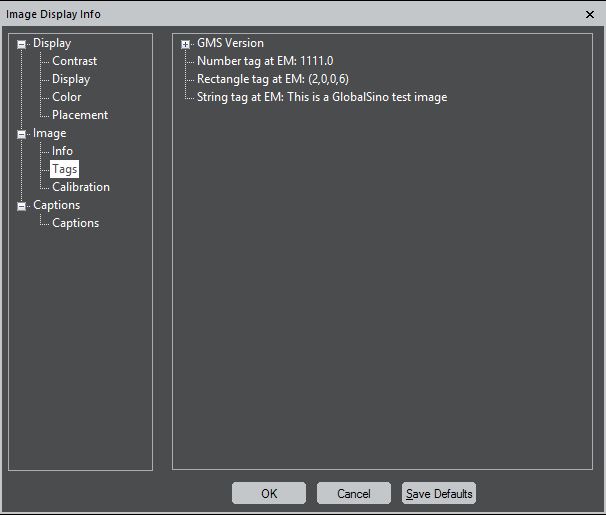 Tags on Gatan Digital Micrograph
