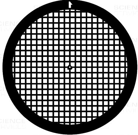 “Lift-out” FIB-TEM Specimen Preparation Technique