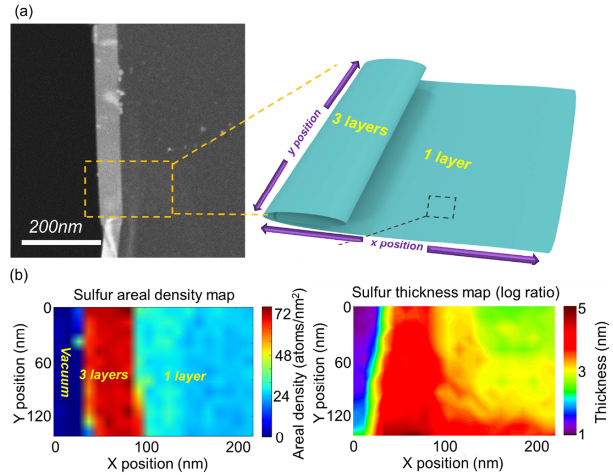Areal Density of Atoms Measured by EELS Intensity