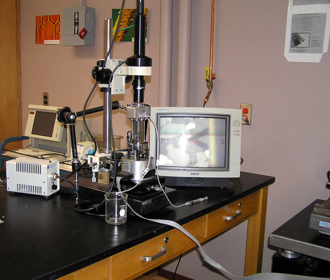 Atomic Force Microscopy