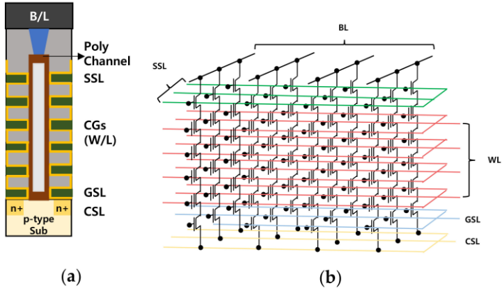 Bitline in 3D NAND