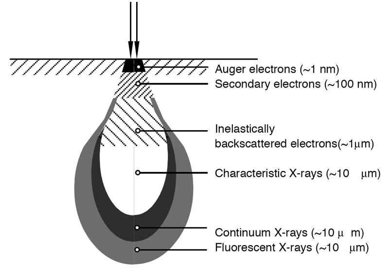 Specimen Interaction Volume electron penetration during Microanalysis