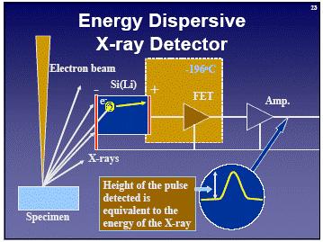 Energy Dispersive X-ray Detector