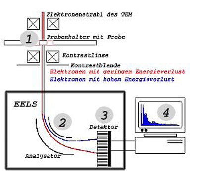 EELS spectrum